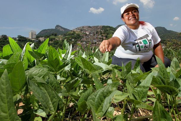 BRAZIL: RIO'S SHANTY TOWNS GO GREEN | Latin America Bureau