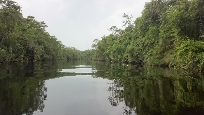 Belize: Punta Gorda, a forgotten district | Latin America Bureau