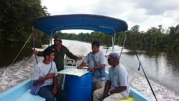 Belize: Conservation in the forest | Latin America Bureau