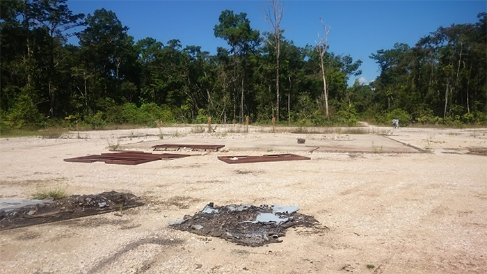 Belize: Conservation in the forest | Latin America Bureau