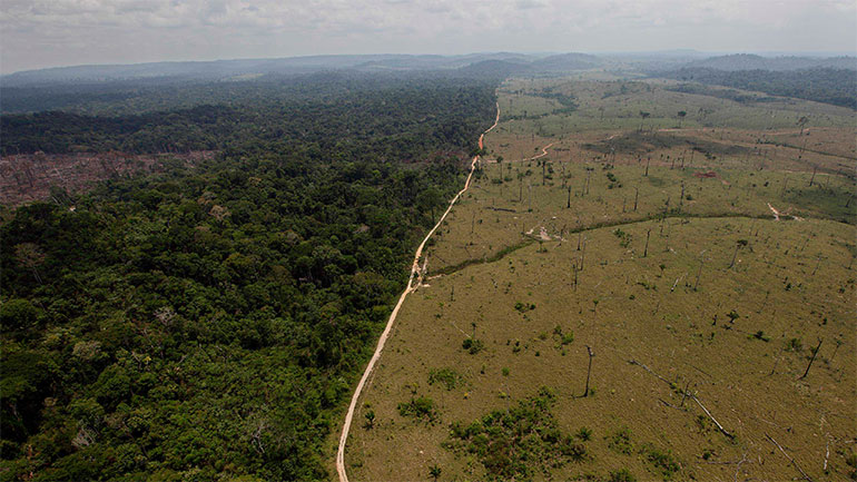 Colombia's struggle for sustainable development | Latin America Bureau