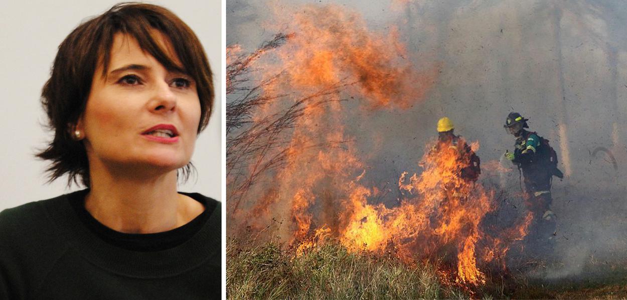 Brazil: SOS from Altamira | Latin America Bureau