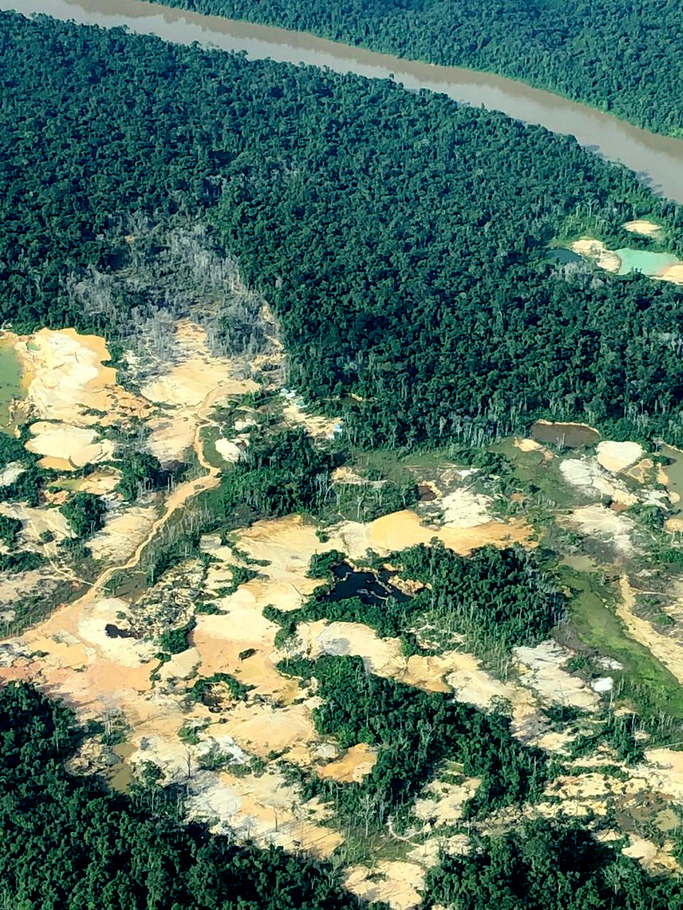 Brazil’s Yanomami people: silence, devastation and fear | Latin America ...