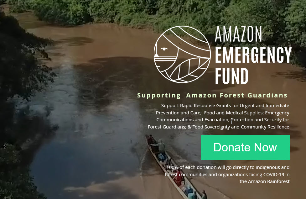 Ecuador's Sarayaku: first the floods, now the plague | Latin America Bureau