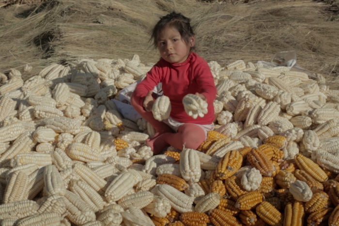 Peruvian Documentary Explores Quechua Culture and Climate Change ...
