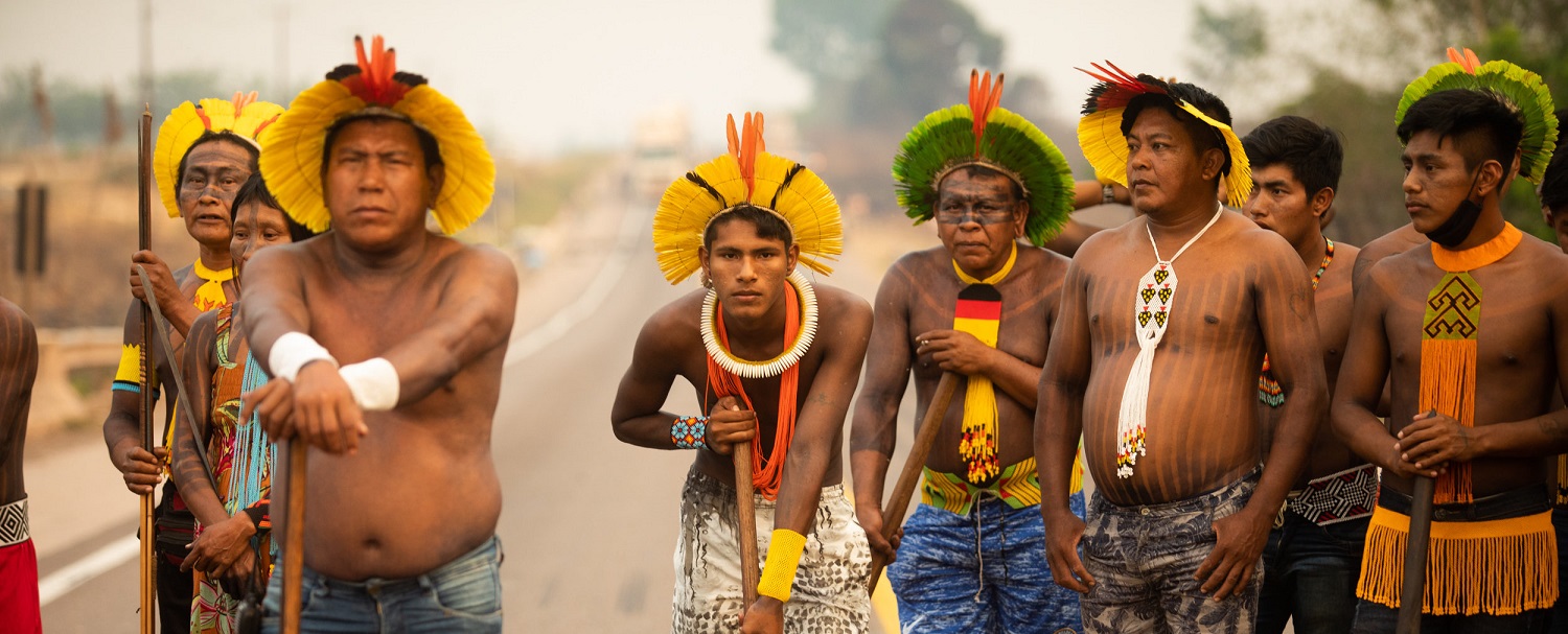 Brazil’s Indigenous groups demand a voice in new soybean railway ...