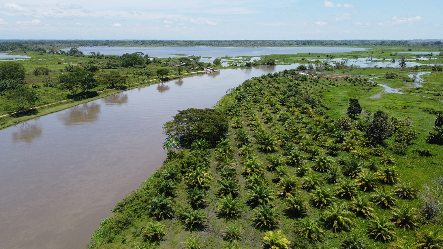Colombia: courageous fight against oil polluters | Latin America Bureau