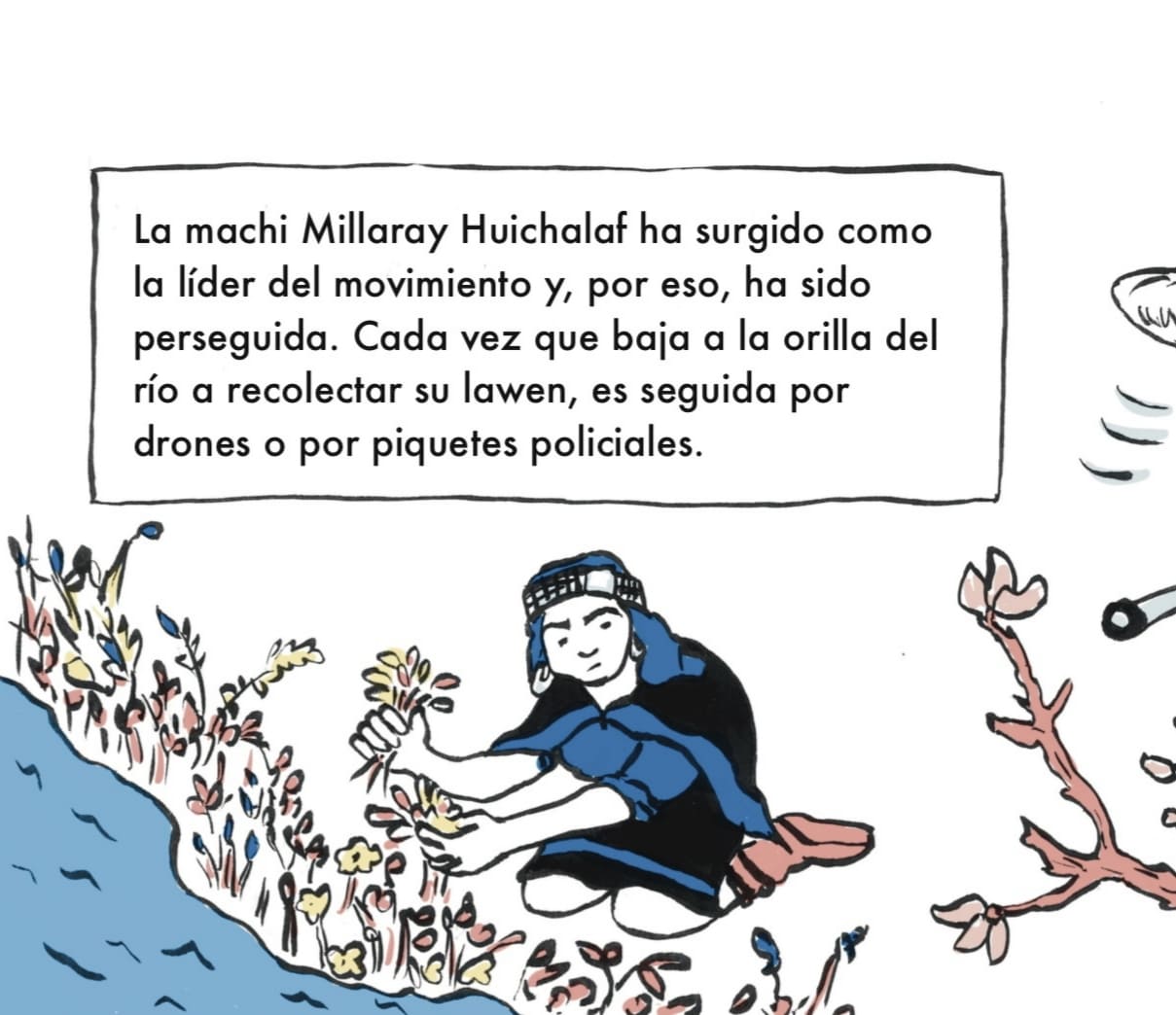 Millaray Huichalaf: Mapuche woman’s 15-year defence of a sacred river ...